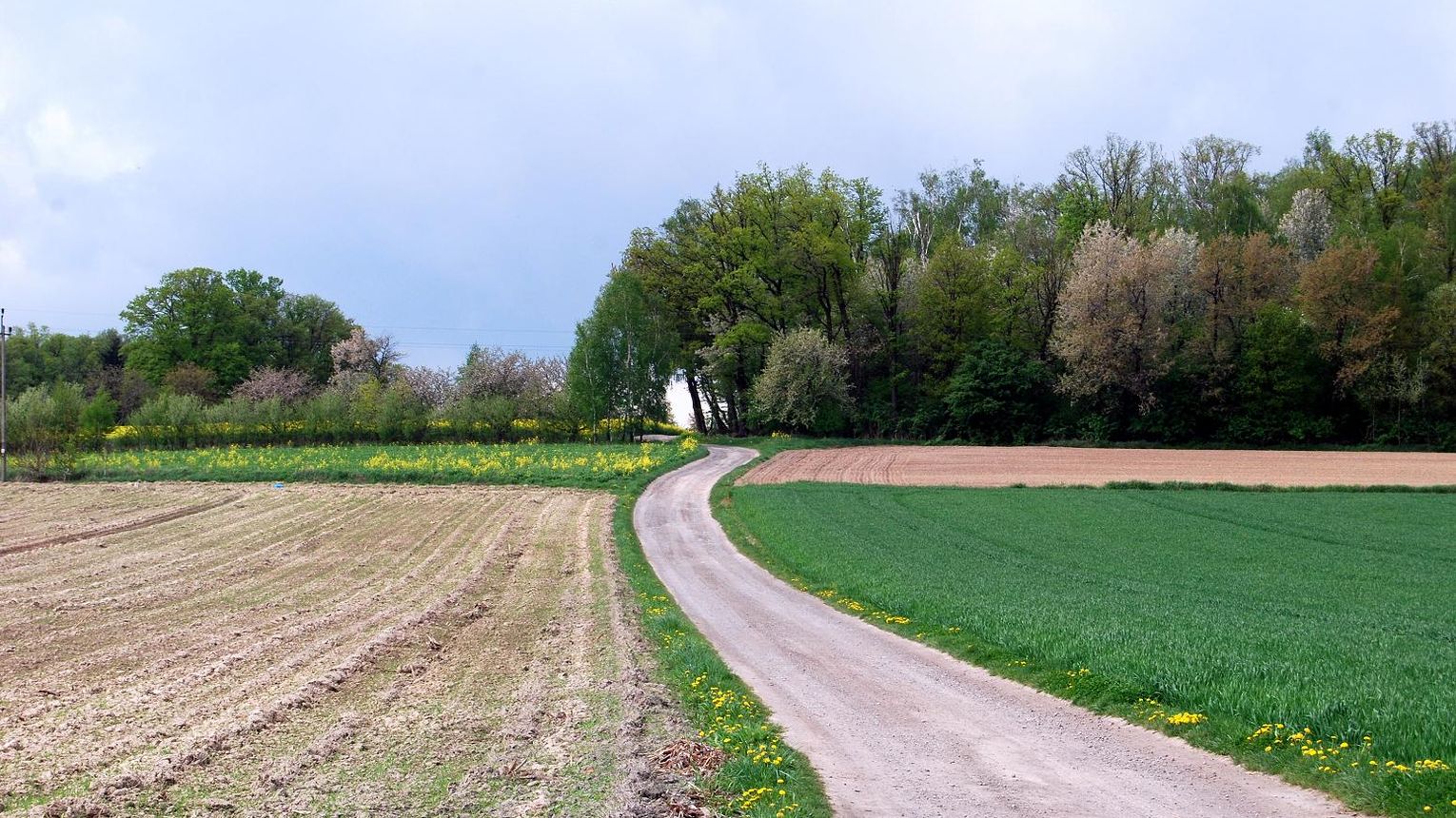 Z chłopa – przedsiębiorca